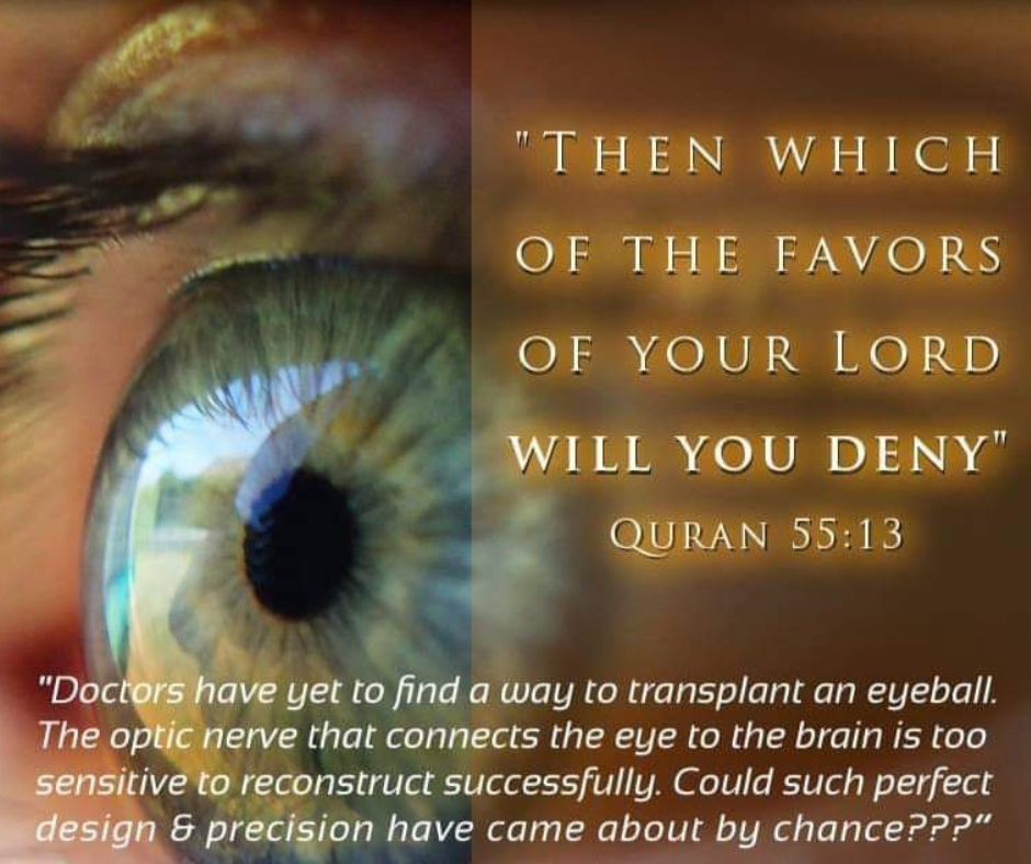 Great Favours of Allah – Makhdoom Ashraf Foundation